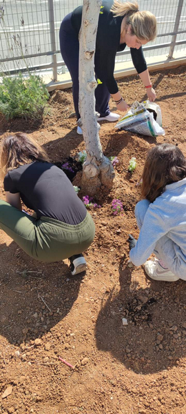 Περιβαλλοντική Εκπαίδευση - Δημοτικό Σχολείο Κολοσσίου Β'